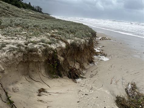 Rapid Impact Assessments Wms Engineering