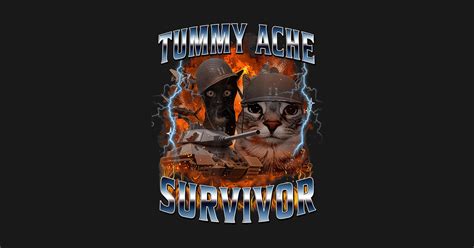 I Survived Todays Tummy Ache Funny Silly Cat Meme Humor Design Silly