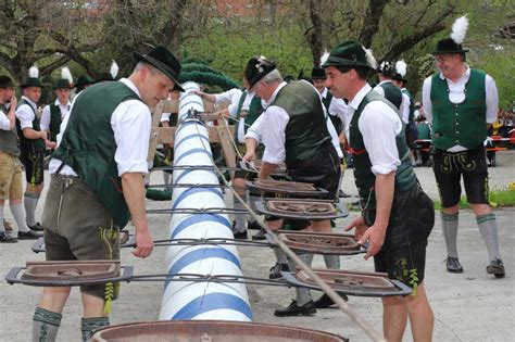 Trachtler leisteten Maßarbeit schönsten Bilder vom Maibaumaufstellen in Aschau