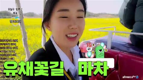 주은 마차 Bj탐방대 신안 팔금섬 유채꽃축제 아프리카tv Vod