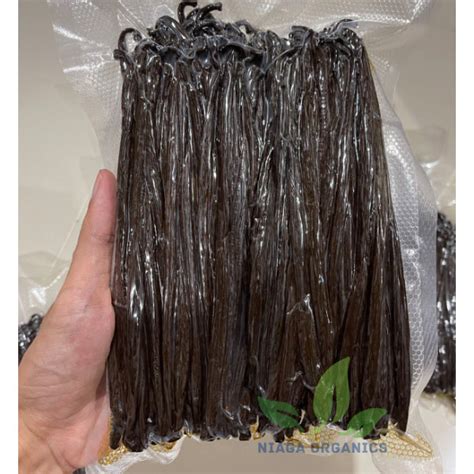 Vanilla Bean Hong Kong Vanilla Bean And Indonesia Agriculture Exporter