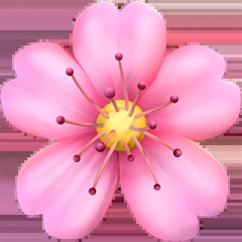 🌸 Cherry Blossom Emoji Meaning Copy And Paste Emoticon ‿ Symbl