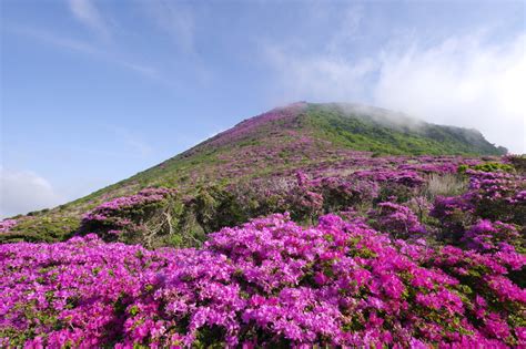 By Ibex Id Photohito