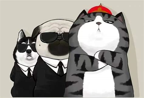 动画产业大变局，反向运营ip的时代到来了？ 创造权威ip 赋能创业者——ip百创