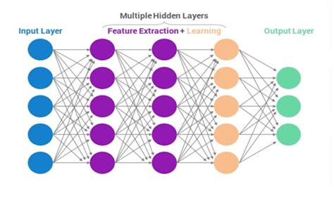 Computer Vision Deep Learning Cnn Yolo And Opencv Projects By Naveed Fiverr