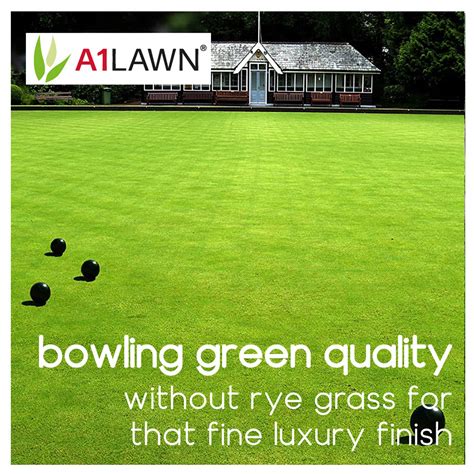 Am Pro 1 Ornamental Lawn Grass Seed A1 Lawn