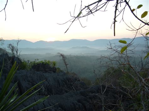 อุทยานแห่งชาติดอยผากลอง