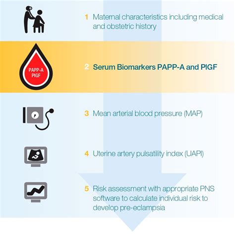 Lab Testing For Preeclampsia At Mia Stanfield Blog