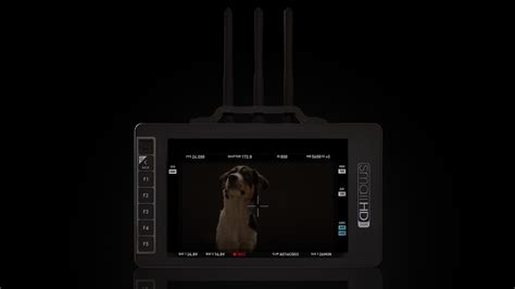 Smallhd 703 Bolt 2d House Toronto Rentals