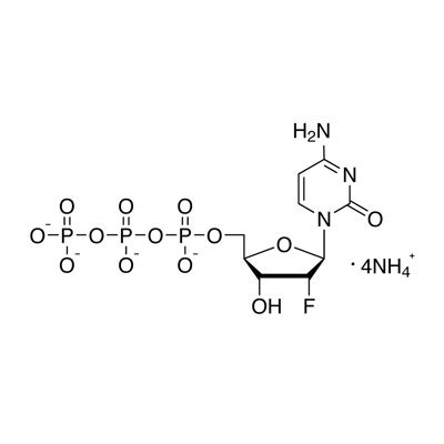 2 Fluoro 2 Deoxycytidine 5 Triphosphate Ammonium Salt Unlabeled
