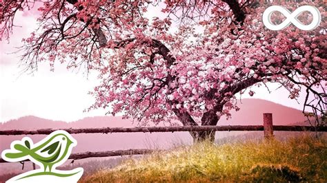 7 Hours Of Relaxing Sleep Music • Soft Piano Music Sleeping Music