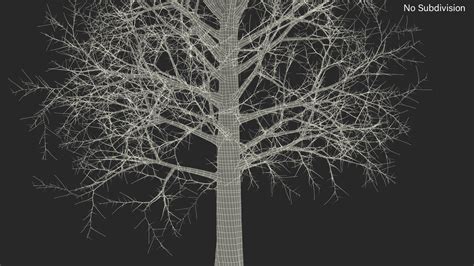 Leafless Bare Oak Tree 3d Model Turbosquid 2229477