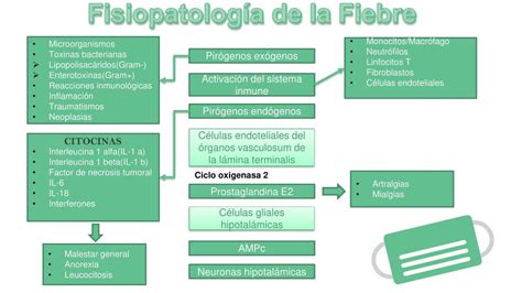 Fisiopatología de la Fiebre Michael Rodriguez uDocz