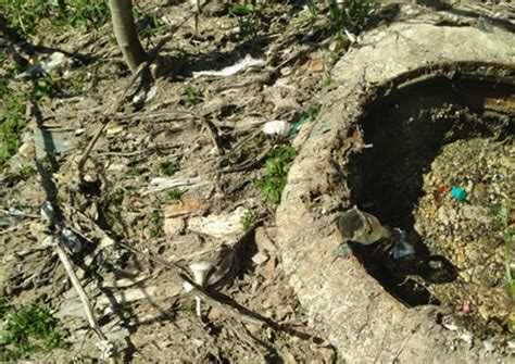 MORADORES DO BAIRRO CASTELO BRANCO RECLAMAM DE ESGOTO ENTUPIDO Jornal