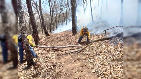 Hay 120 Incendios Forestales Activos En 20 Estados Conafor