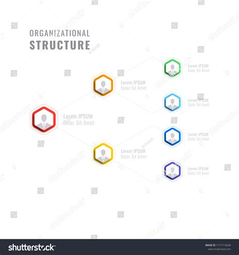 Organizational Structure Company Business Hierarchy Hexagonal Vector