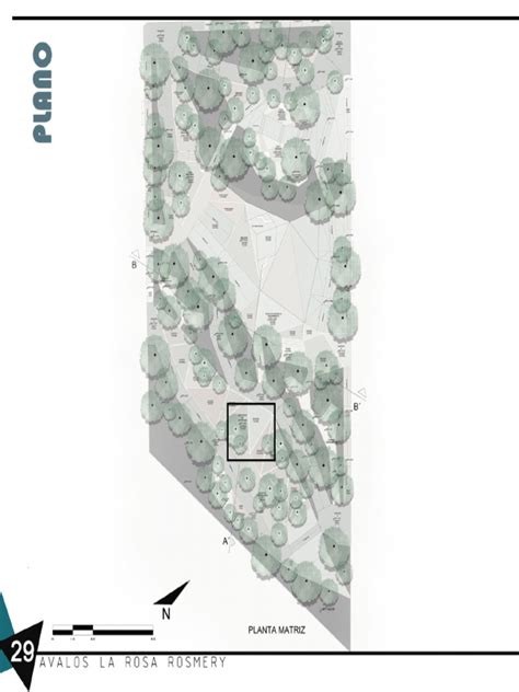 39 Pdf