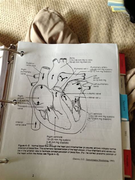 32 Best LVAD Images On Pinterest Heart Failure Er Nurses And Nursing Babes