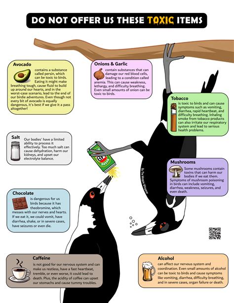 Do Not Offer Birds These Toxic Items The Magpie Whisperer