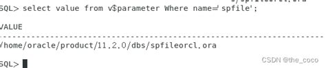 设置oracle数据库默认为spfile启动并将sga大小设置为2Gpga大小设置为200M oracle sga设置成多大 CSDN博客