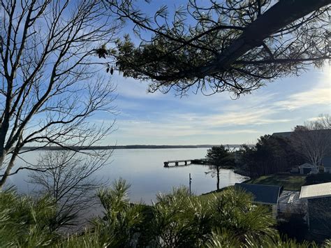 Dancing Trees Dancing Trees Added A New Photo