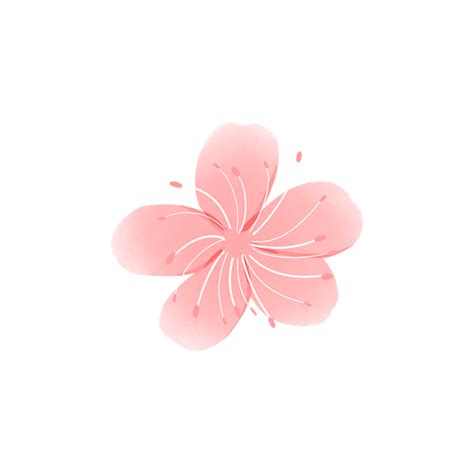 Png