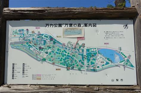万力公園万葉の森へのアクセス方法と駐車場は園内の様子はどんな感じ 歩いてみたブログ