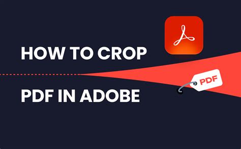 How To Crop PDF In Adobe Video Guide Available
