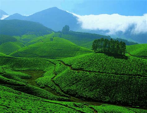Luxury Hotels In India Kerala Tourist Attractions Top 5 Exotic Places