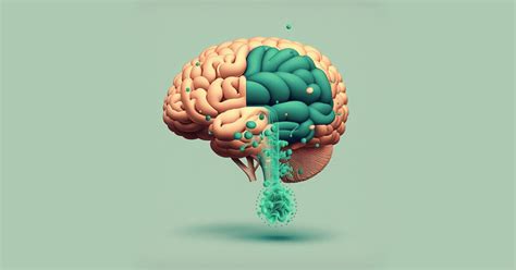 Implicit Vs Explicit Memory Whats The Difference