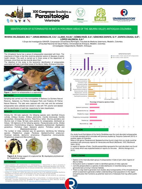 Pdf Identification Of Ectoparasites In Bats In Periurban Areas Of The