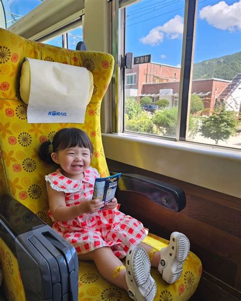 기차에서 와인을 국내 이색 기차 Best 5