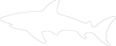 Basking Shark Outline Silhouette 38829879 Vector Art At Vecteezy