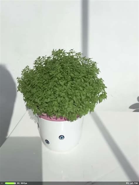 Ios Flower Detection Using Vision And Coreml Youtube