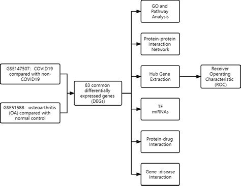 Schematic Illustration Of The Overall General Workflow Of This Study
