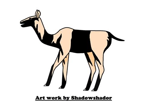 Extinct Even Toed Ungulate †xiphodon Intermedium Flickr