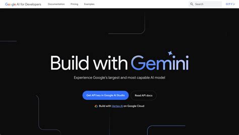 Gemini APIの料金使い方API keyを用いたPythonでの導入方法を紹介