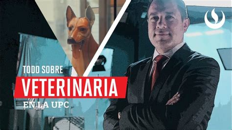 Por qué estudiar medicina veterinaria 2025 Construyendo Educación