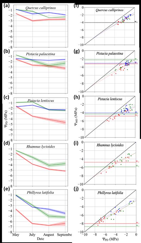 Leaf Water Potential Values During The Dry Season Of 2018 At The Mesic