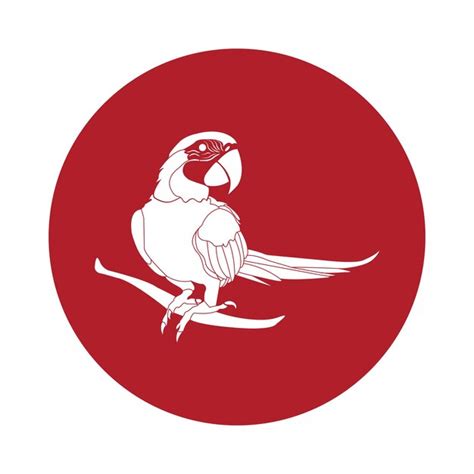 Premium Vector Parrot Icon