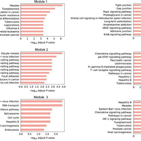 Kegg Pathway Enrichment Analysis In Genes The Kegg Enrichment Results
