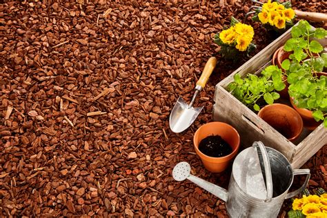 37 Alternatives To Grass In Your Backyard Install It Direct