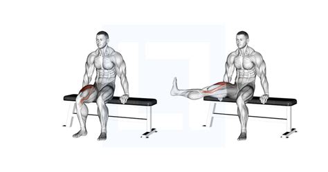 Dumbbell Lying Leg Curl Guide Benefits And Form