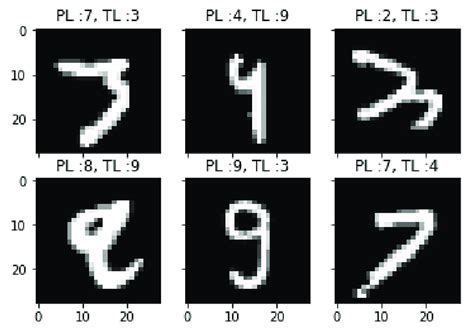 Some Error Results Predicted By CNN Without Data Augmentation Where PL Download Scientific