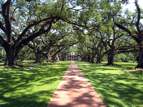 Oak Alley Plantation