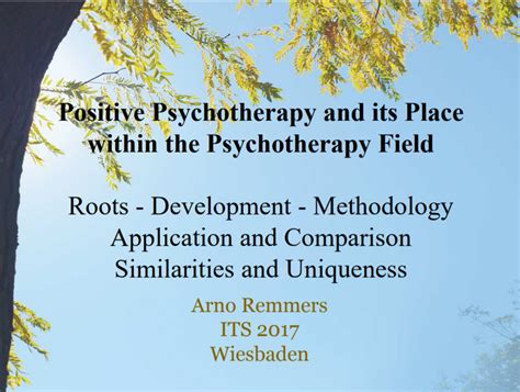 Positive Psychotherapy And Its Place Within The Psychotherapy Field