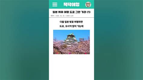 일본 벚꽃여행은 여기지 일본여행 Youtube