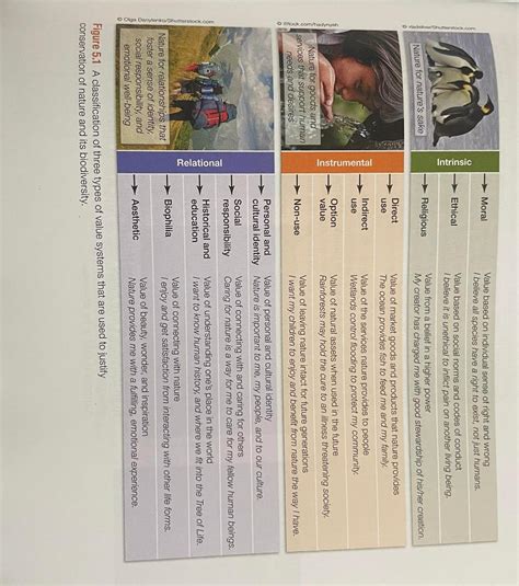 2 Of All The Values Listed In This Figure Which Do