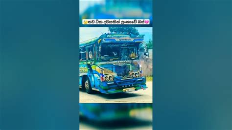 එයාල්ට මොකද වෙන්න යන්නේ Youtube