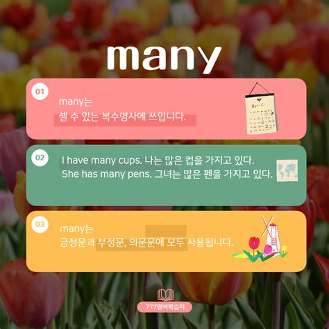 기초영문법] 'a lot of/ many / much' 구분하기 : 영어공부 블로그